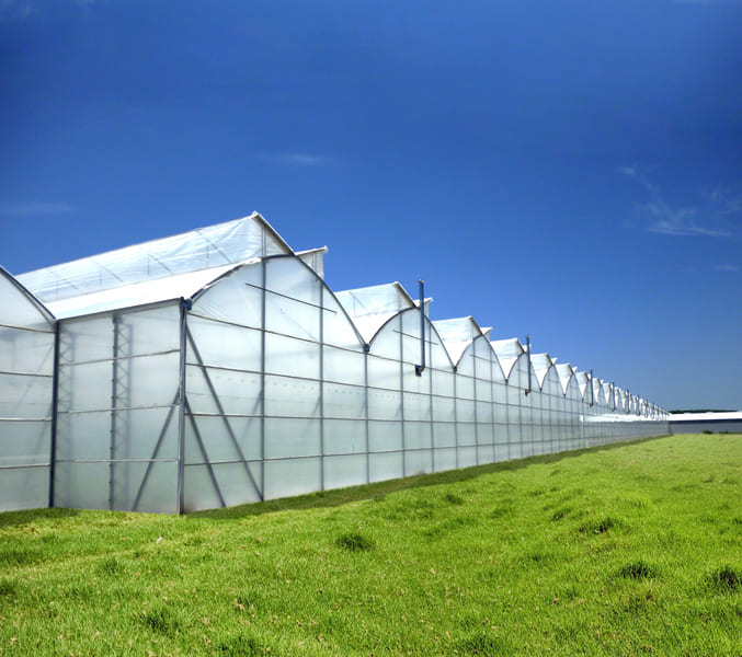 Types of plastic greenhouse cladding: which is the best