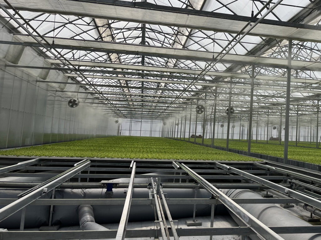 Mobile Gutter Systems for greenhouses (MGS)